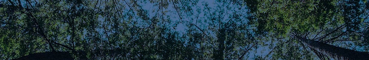 Home - Optimum Global Asset Management (Optimum Asset Management Inc.)